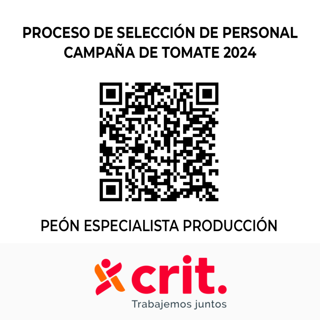 Grupo CRIT: Proceso de selección de personal para campaña de tomate ...