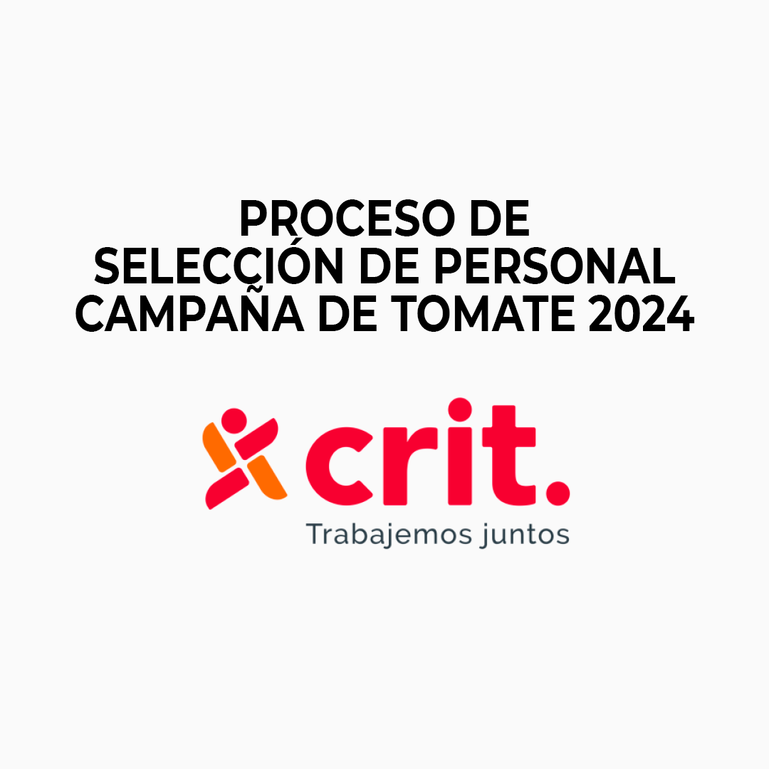 Grupo CRIT: Proceso de selección de personal para campaña de tomate ...